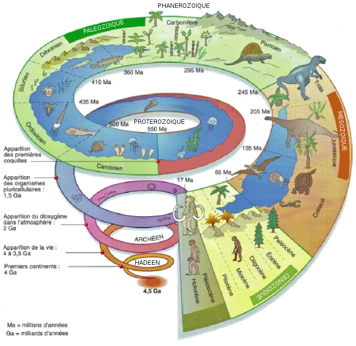 Crapouillotage: Échelle des temps géologiques (trâce écrite)