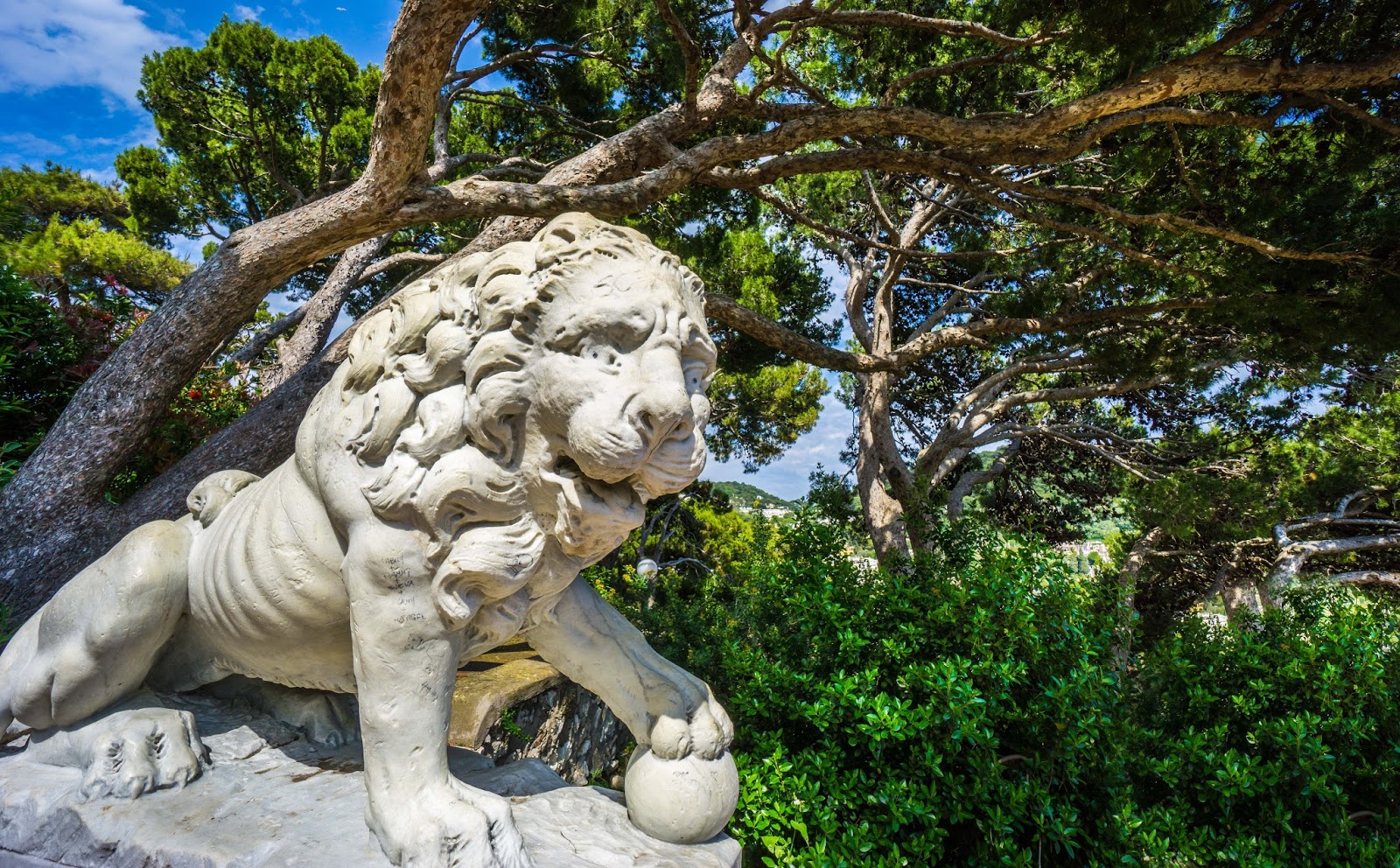 A Minute in the Life of Maria: Capri, Italy