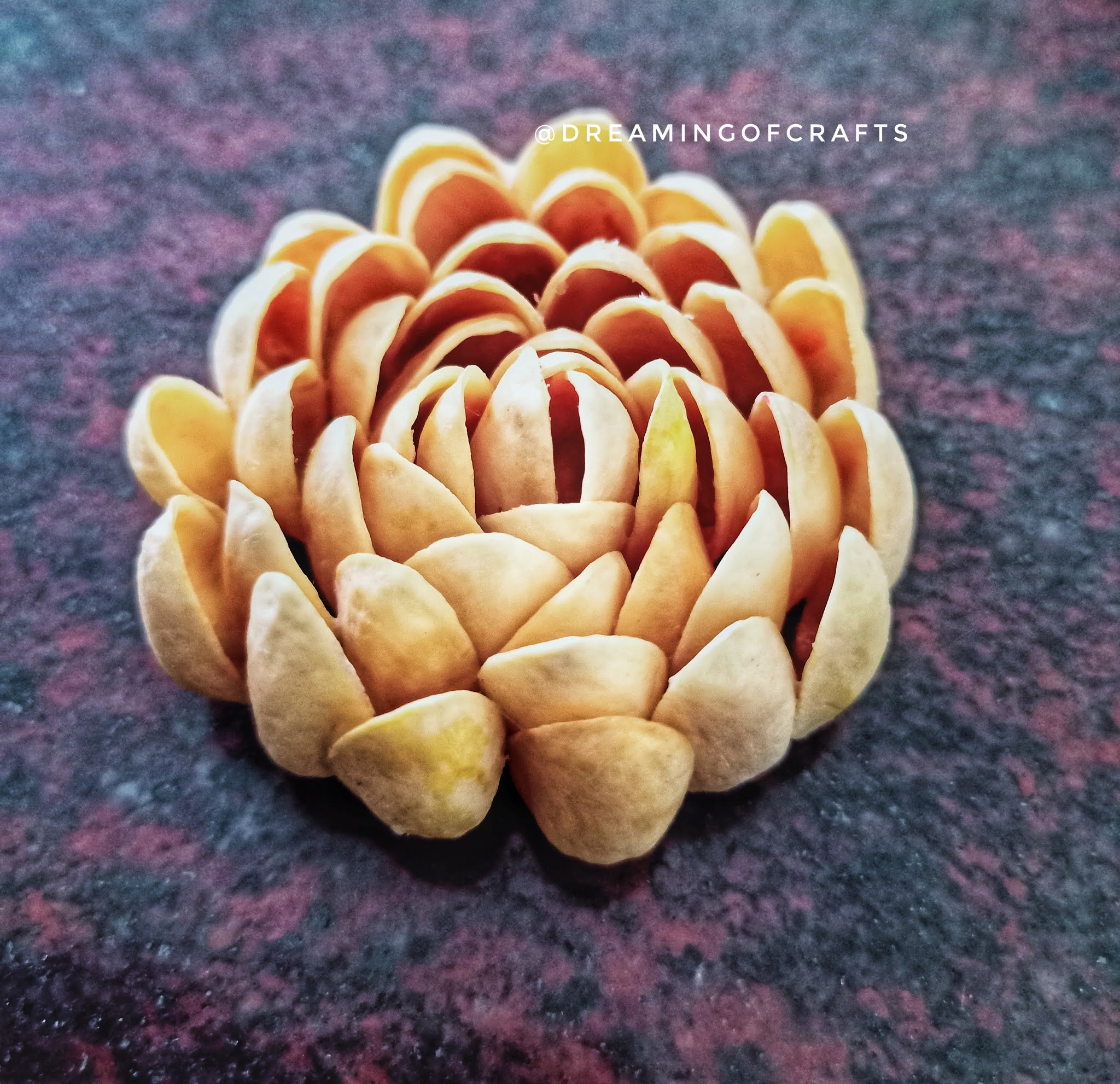 Craft from pistachios shells!!🤯