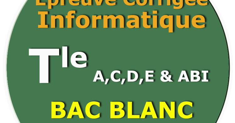 epreuve informatique bac blanc 2 2019 college GSD
