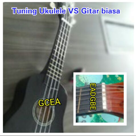 Ketahui ini Sebelum Belajar Gitar Ukulele - [Rumus dasar Ukulele Senar ...