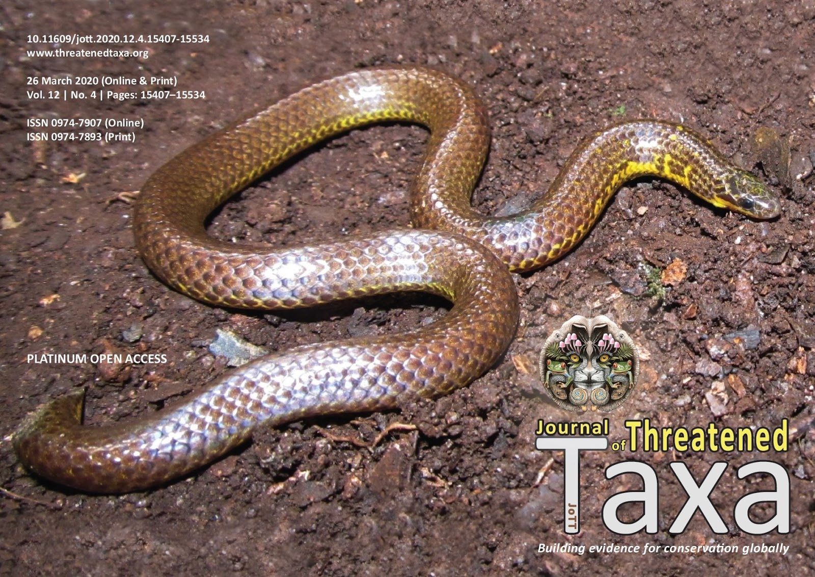 Species New to Science: [Herpetology • 2020] Uropeltis rajendrani • A ...