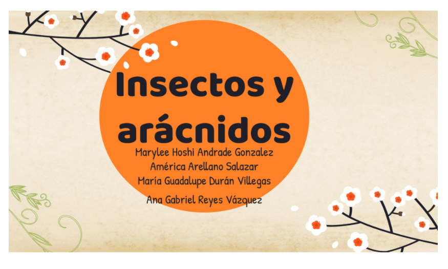 Insectos y arácnidos