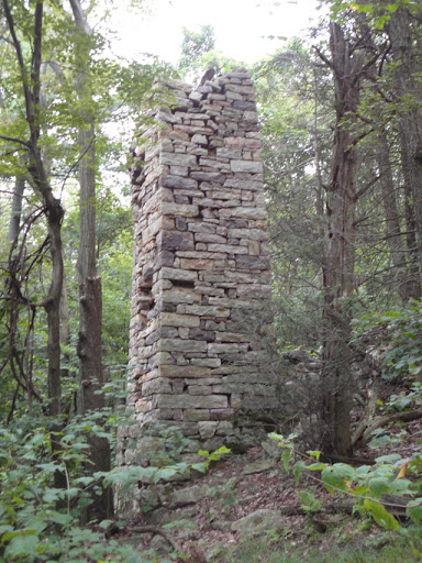 A Tragedy in Yellow Springs