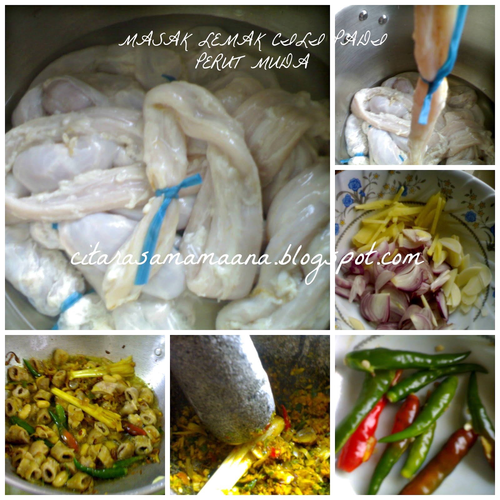 .: MASAK LEMAK CILI PADI PERUT MUDA