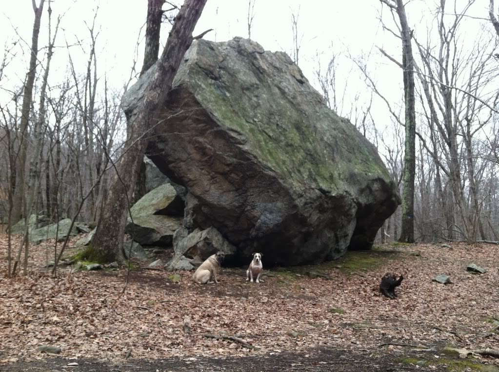 Waking Up on Turtle Island: Bear Rock (NJ)