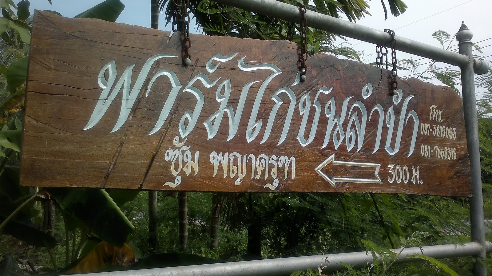 JAGOH FARM 2010: Lawatan ke Kilang@Farm LAMPAM