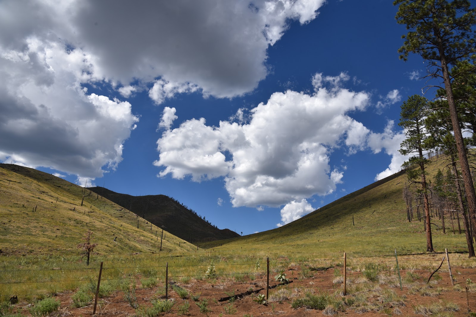 Arizona Hiking: White Horse Hills