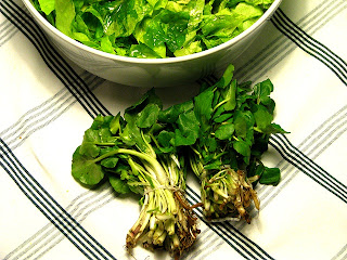 Adnana te sfatuieste! remedii naturale.: Curatenie de primavara cu ...