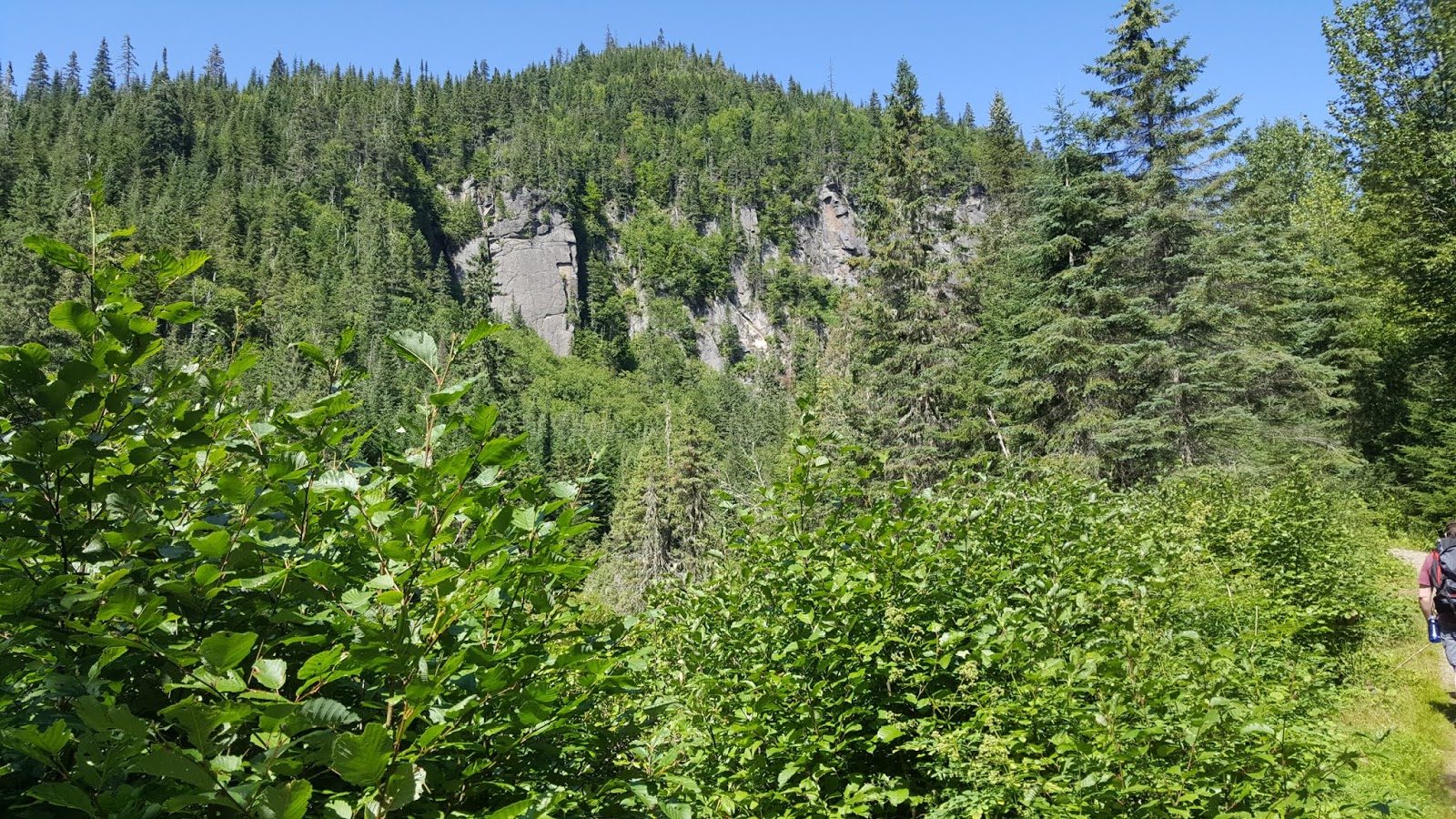 Sentier Scotora pour le mont Andante - Dan en bottines