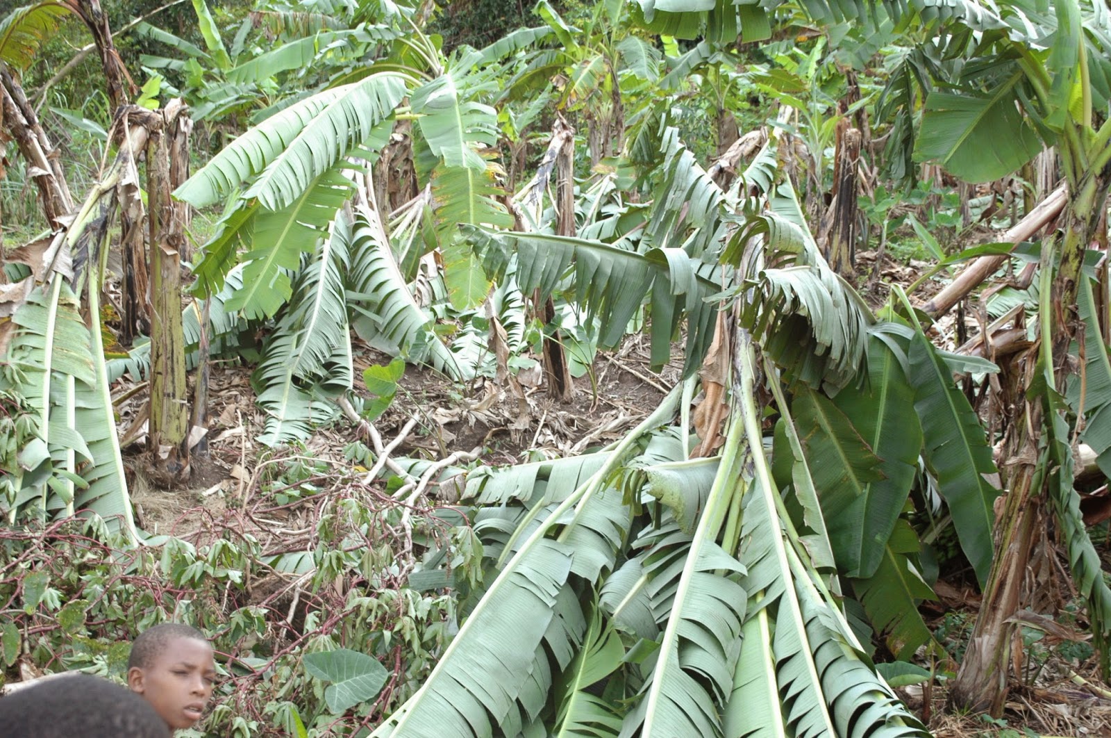 MATUNGWA MB STUDIO BLOG: March 2014