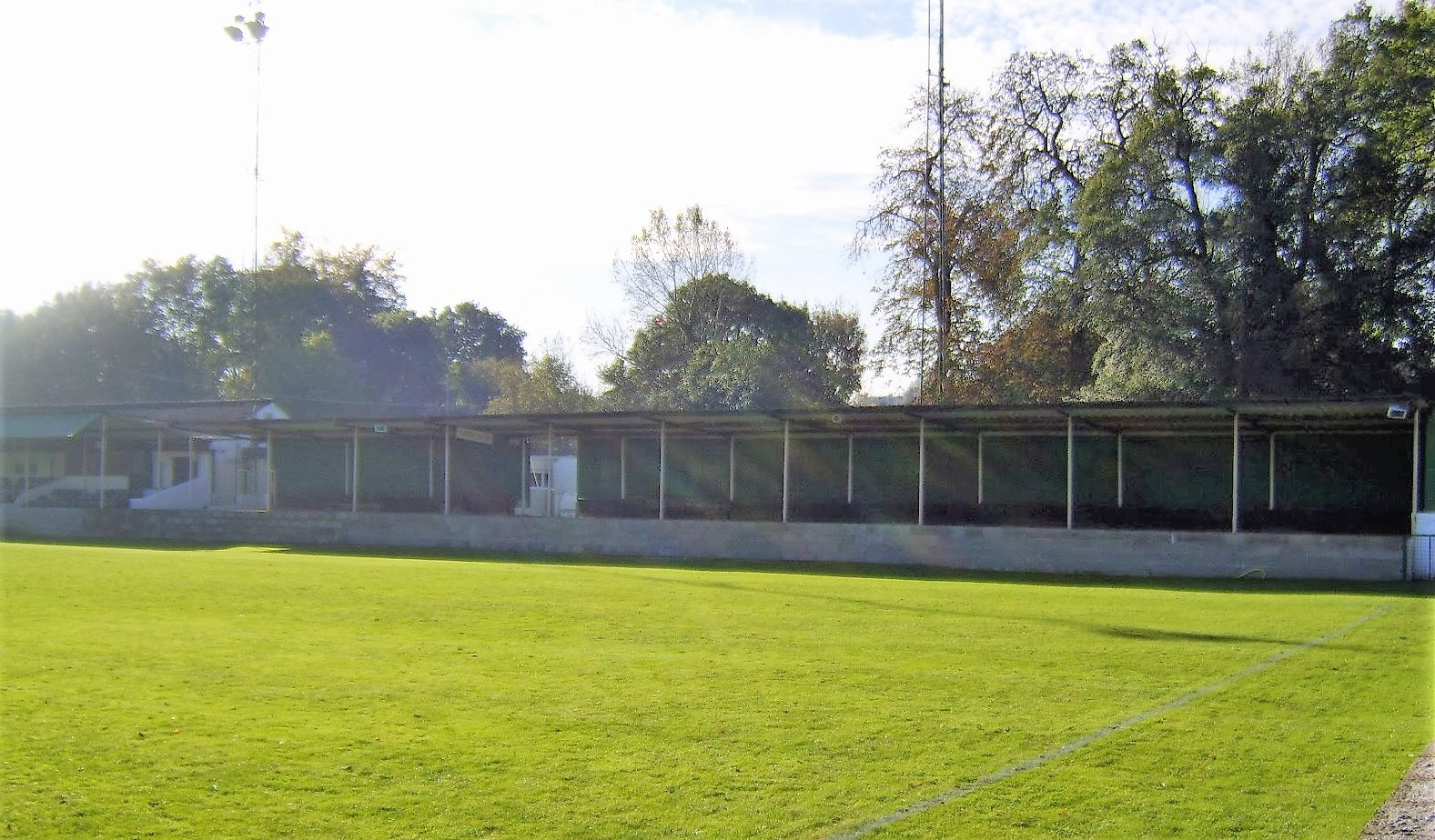 Hopping all over the World: Leatherhead