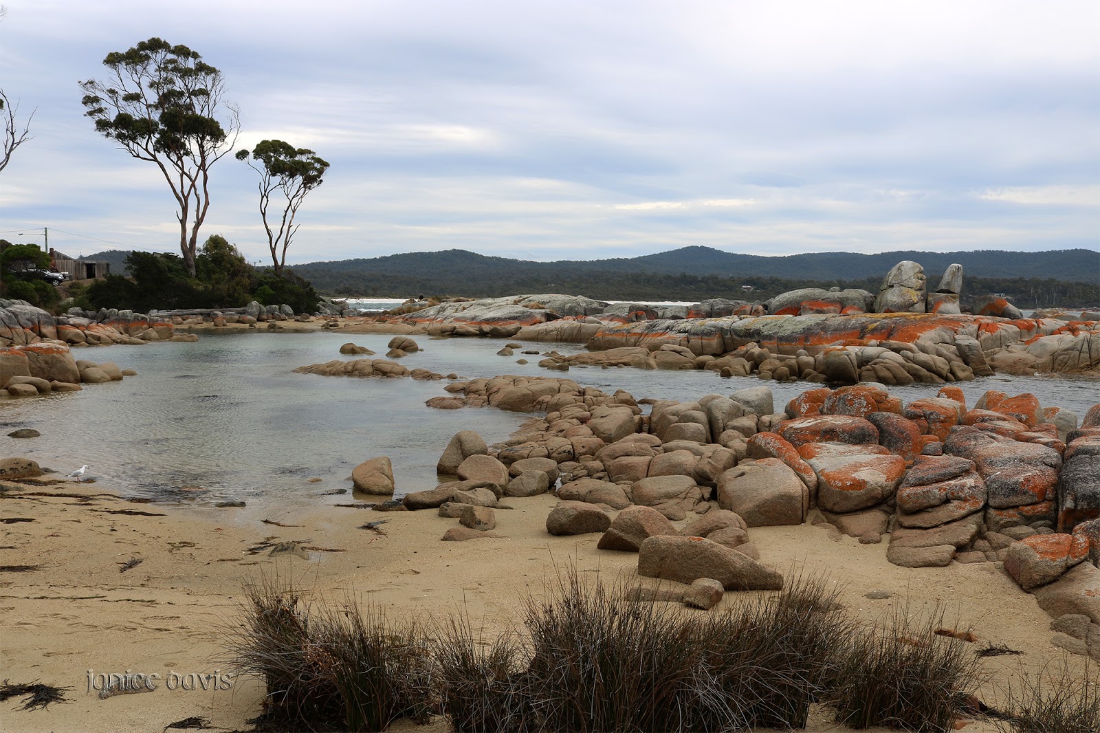 thoughts & happenings: Binalong Bay, Tasmania