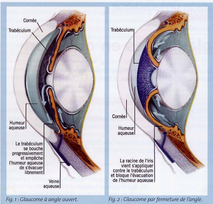 janvier 2013 ~ Documents de Médecine