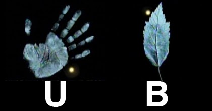 Fringe Glyph Code 501: "Transilience Thought Unifier Model-11" ~ Fringe ...