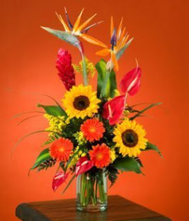 Summer Rayne Flowers: Flower of the Day Bird of Paradise
