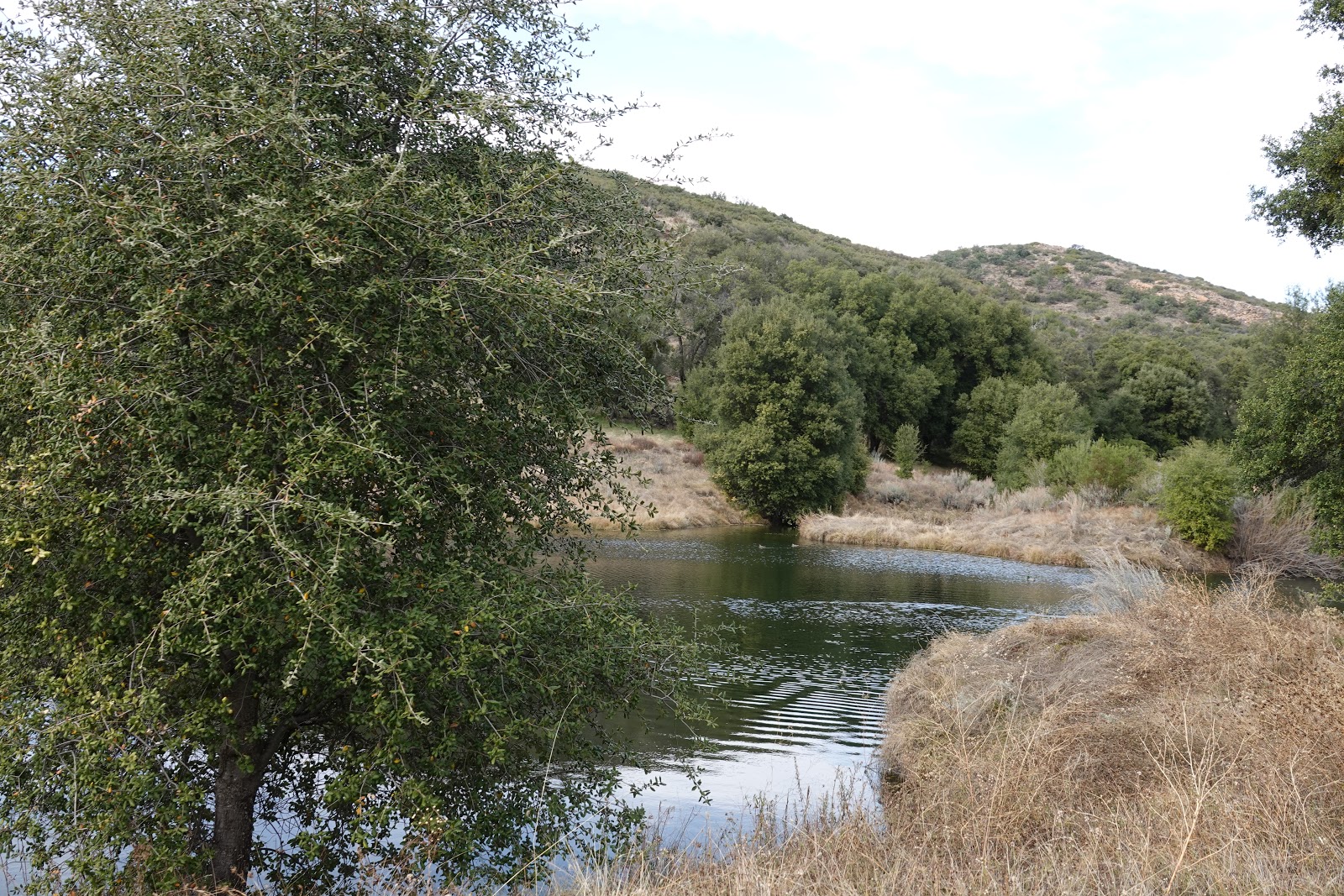Corte Madera Lake at Marcos Hines blog