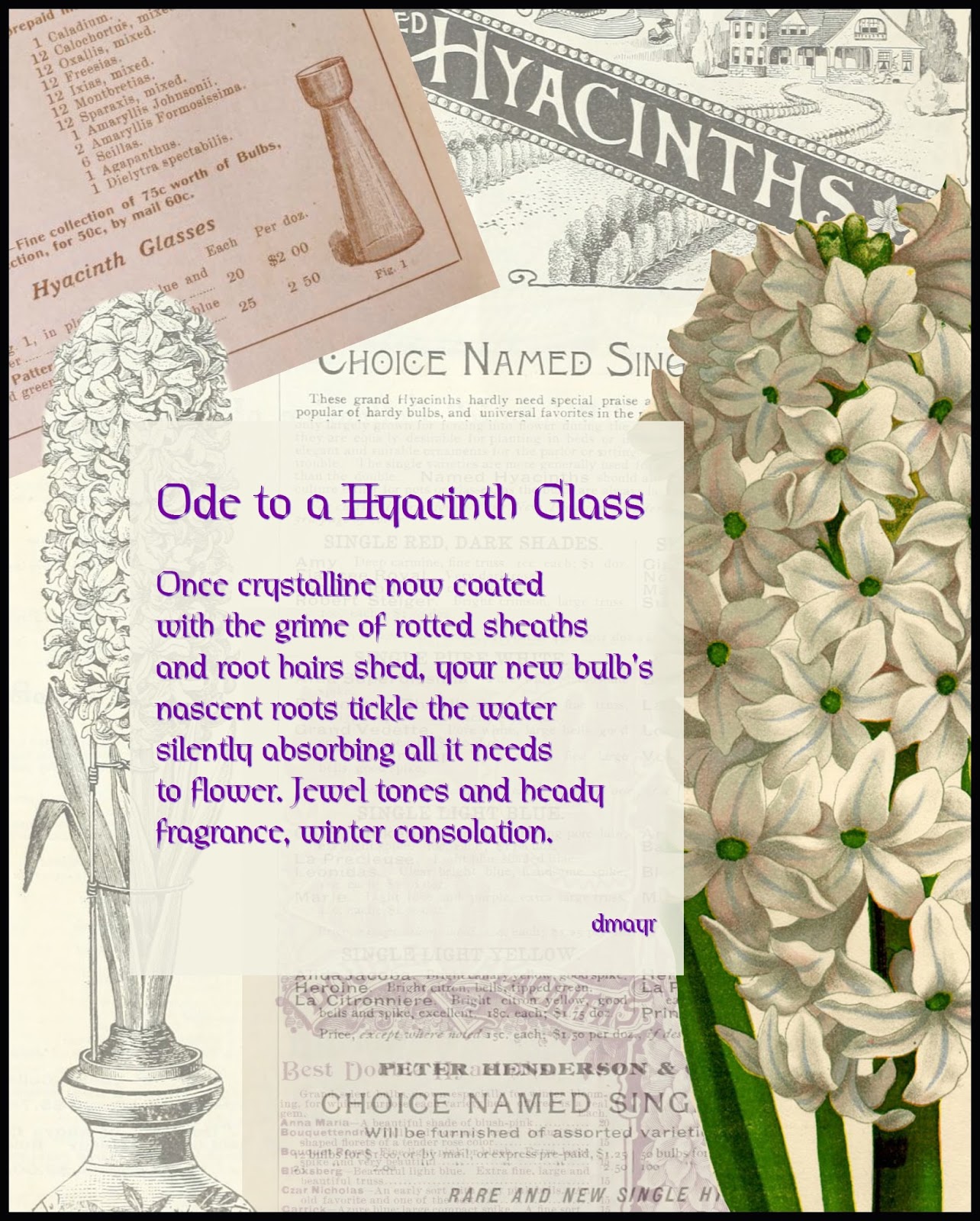 Random Noodling: Poetry Friday--TLD Challenge: Odes