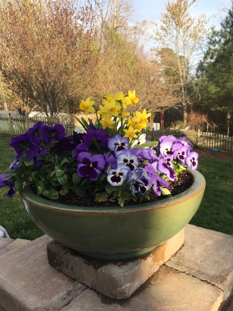 Spring Pots