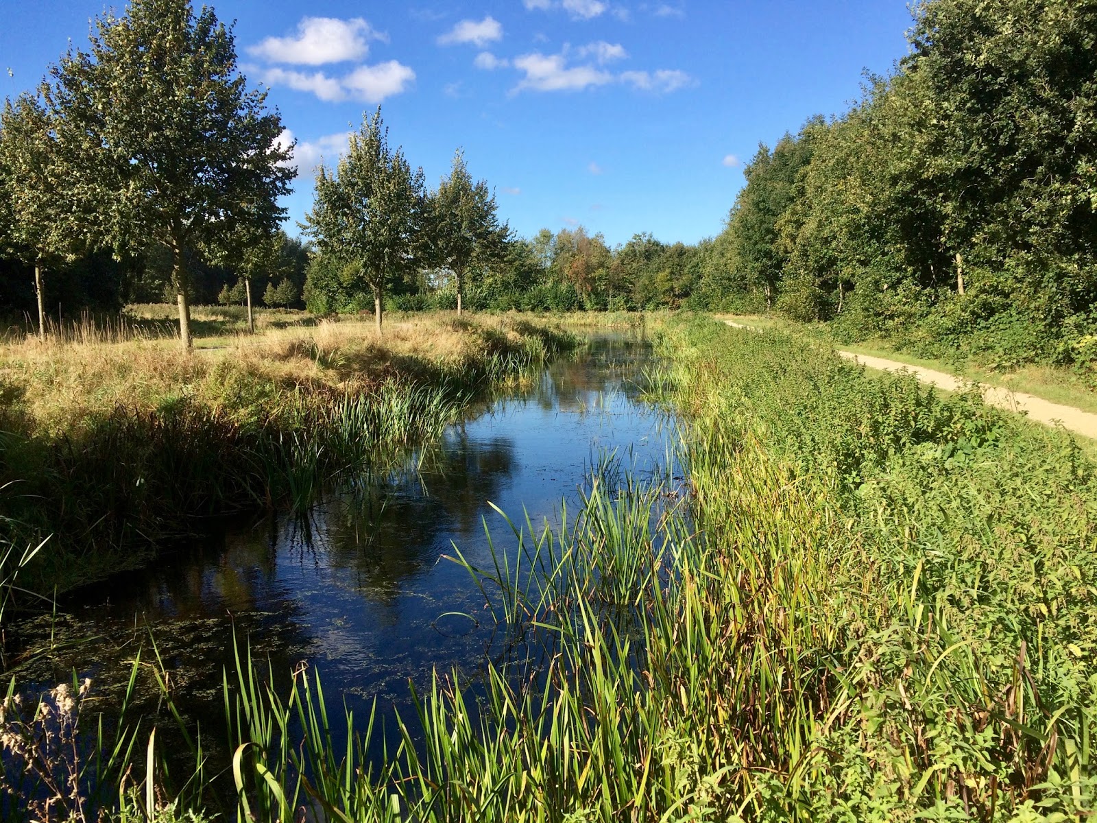 Wandel, fiets en vakanties : Utrecht-Overvecht