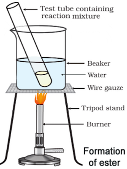 Chapter 4: Carbon and its Compounds | CBSE Class 10 | NCERT Notes ...