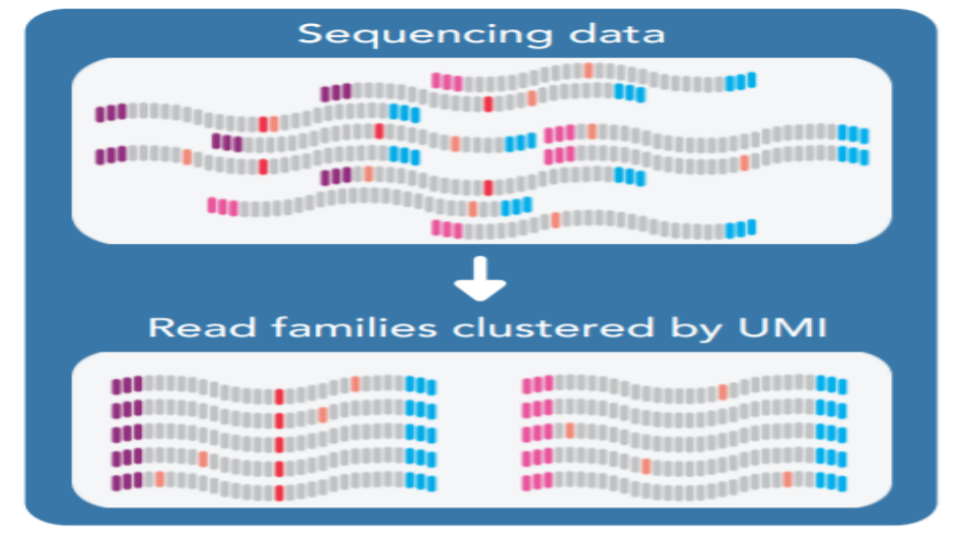 Reasons to Consider a UMI-based Approach in Next-Generation Sequencing ...