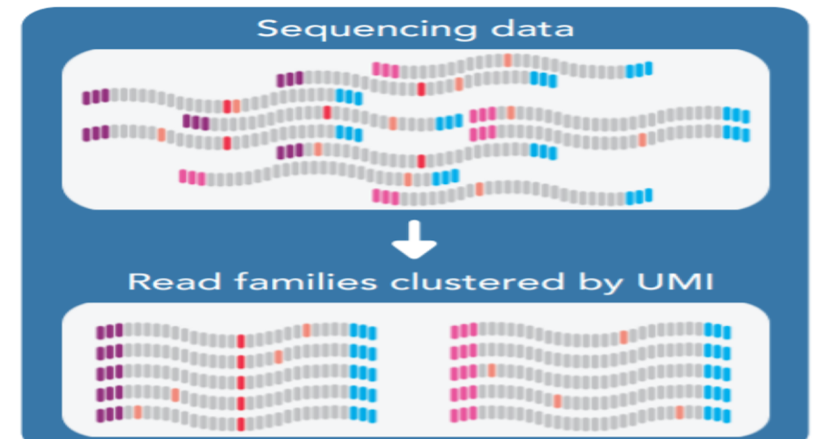 Reasons to Consider a UMI-based Approach in Next-Generation Sequencing ...
