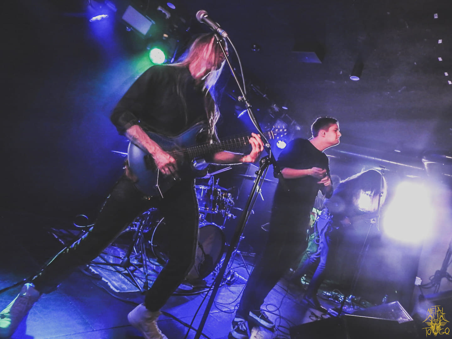 Feather Mountain: Nidus (Album review)