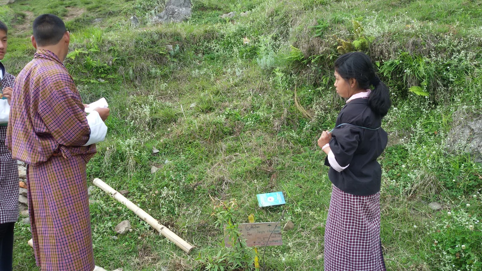 Chukha Central school