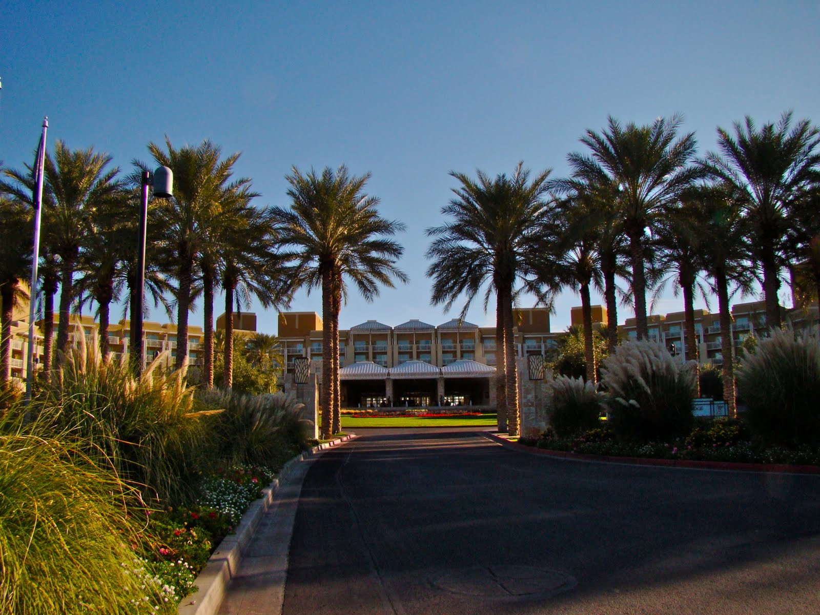 Scottsdale Daily Photo: J.W. Marriott Desert Ridge Entrance Drive