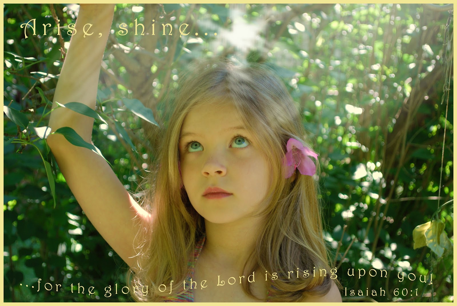 Live like someone left the gate open: May 2012