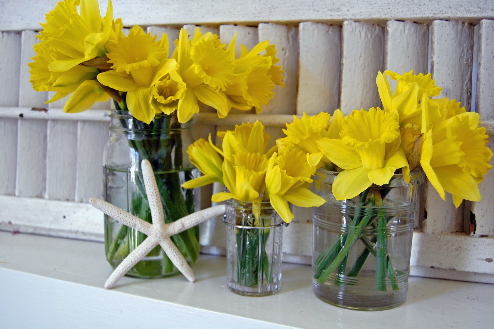 My Painted Garden: Spring Yellow