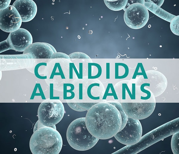 Candida: Κάντε το τεστ διάγνωσης καντιντίασης - Η ΔΙΑΔΡΟΜΗ