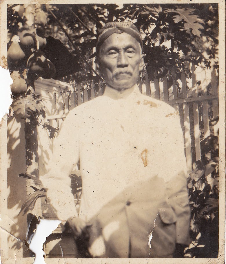 Ilmu Sejarah 2013: ASAL USUL KELUARGA RADEN SOEMODIHARDJO SERTA TIDAK ...