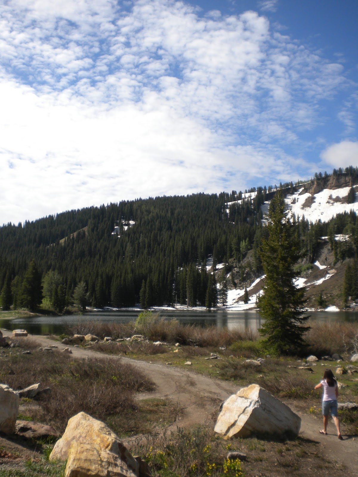 The Mystery Of Utah History: The first Tony Grove reports in Logan Canyon