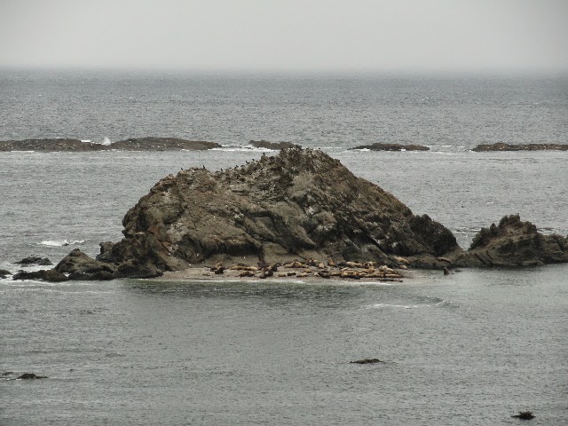 How to Love Where You Are and Eat Where the Locals Eat!!: BRIEF SIGHTSEEING