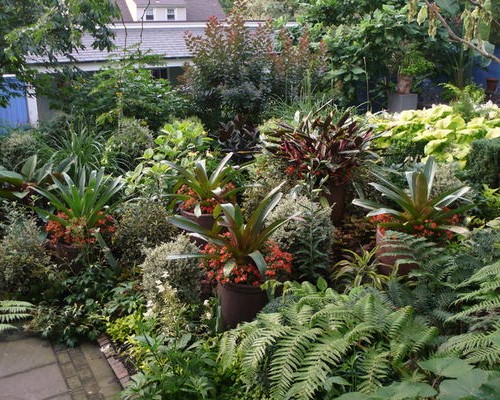 tamanku: Cara Membuat Taman Tropis Minimalis Di Halaman Anda