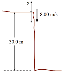 Free Fall Problems and Solutions - JEE-IIT-NCERT Physics & Math