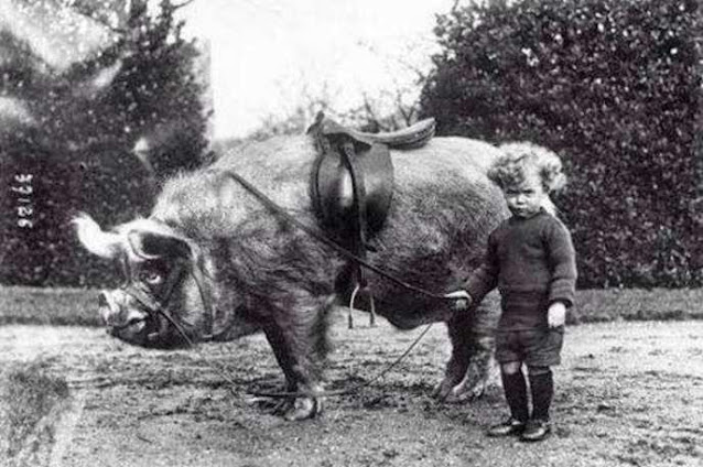 One Lucky Soul: Rare Historical Photos # 6