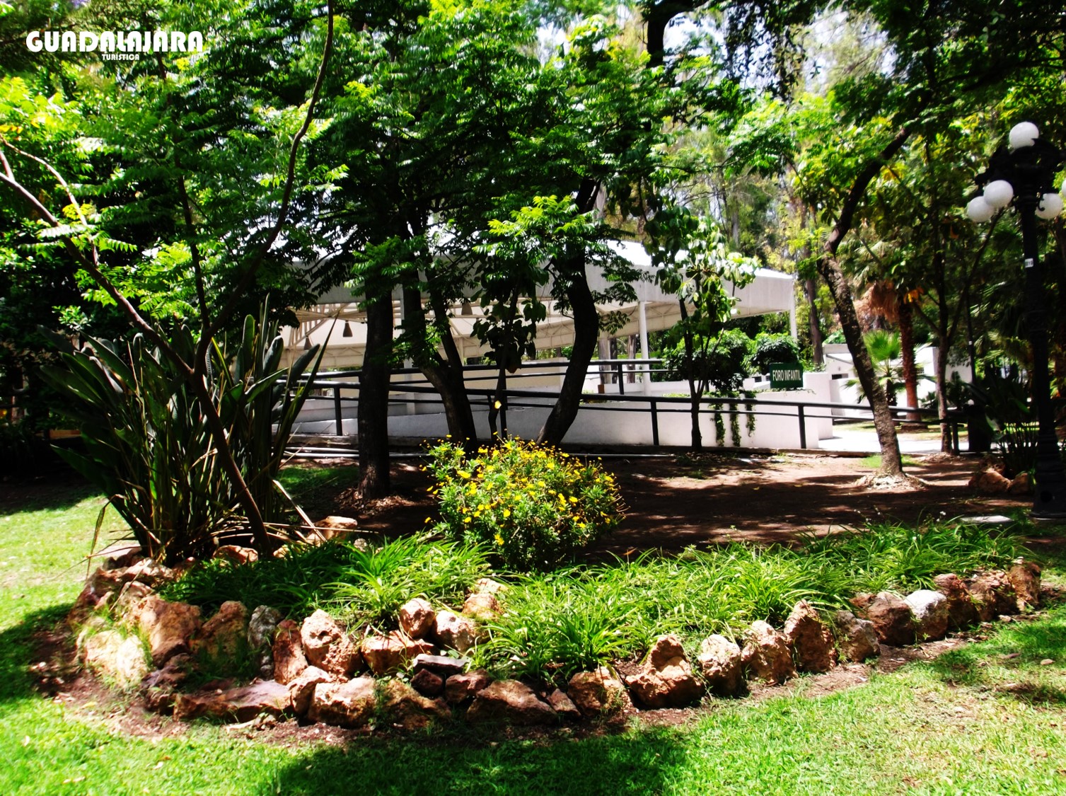 Agencia de Viajes Guadalajara Turística: Parque Agua Azul