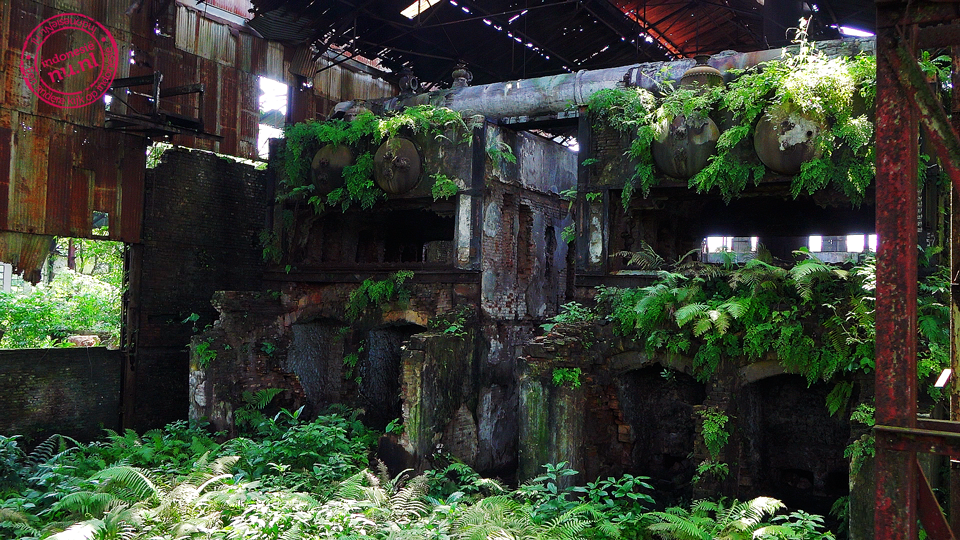 De Nederlandse suikerfabriek in Kalibagor