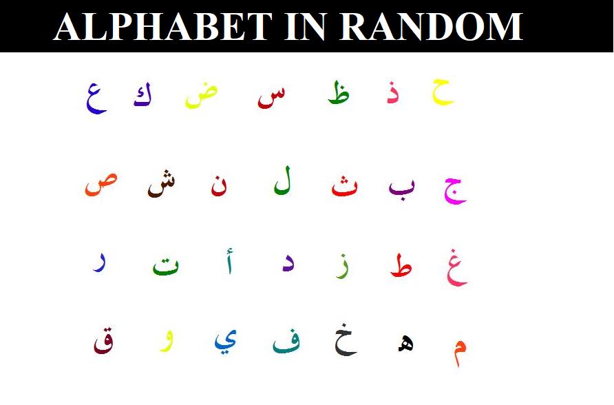 Islam & Muslims - Real People, Real Life, Real Stories: FREE Basic ...