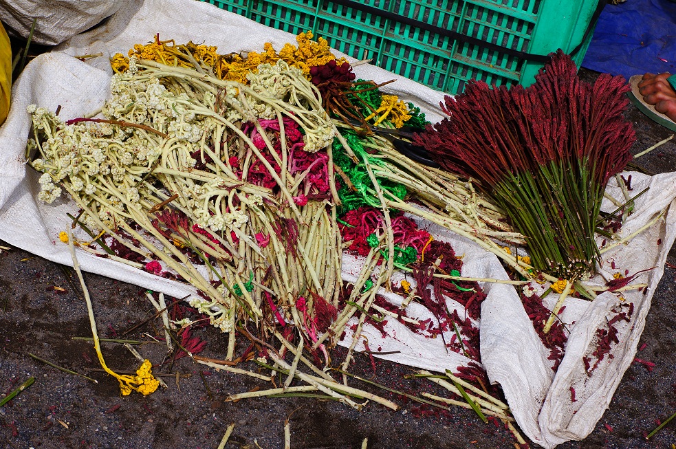 Edelweis Bromo - my journey to love more...my stories to be happy...