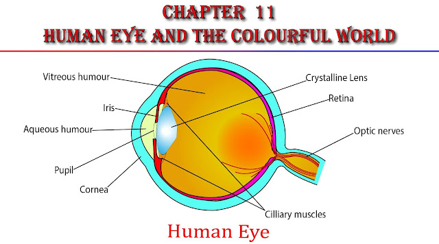 Notes of Chap 11 Human Eye and Colourful World| Class 10th Science