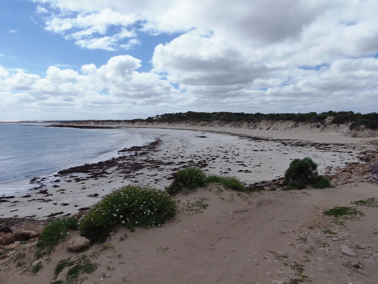 Solo Steve On The Road: WALKERS ROCKS via PORT KENNY and VENUS BAY SA