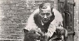 Tangled Roots and Trees: Diphtheria: The Plague Among Children