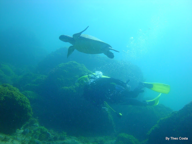 Hidrofilia: Curso de Mergulho Básico