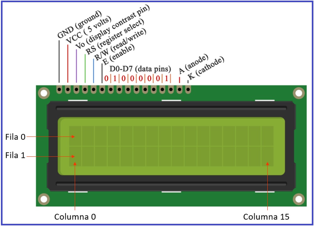DISPLAY 7-SEGMENTOS & LCD