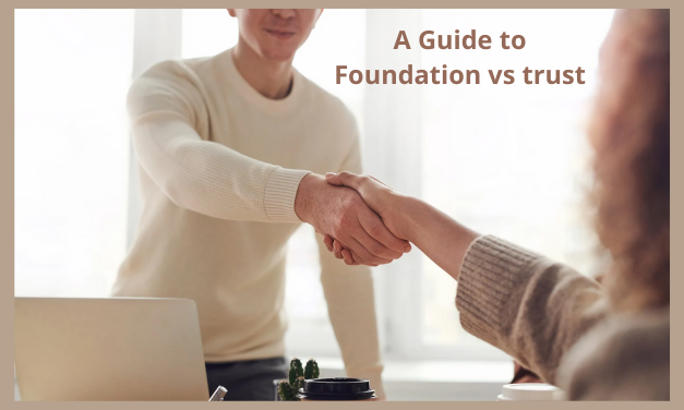 A Guide to Foundation vs trust