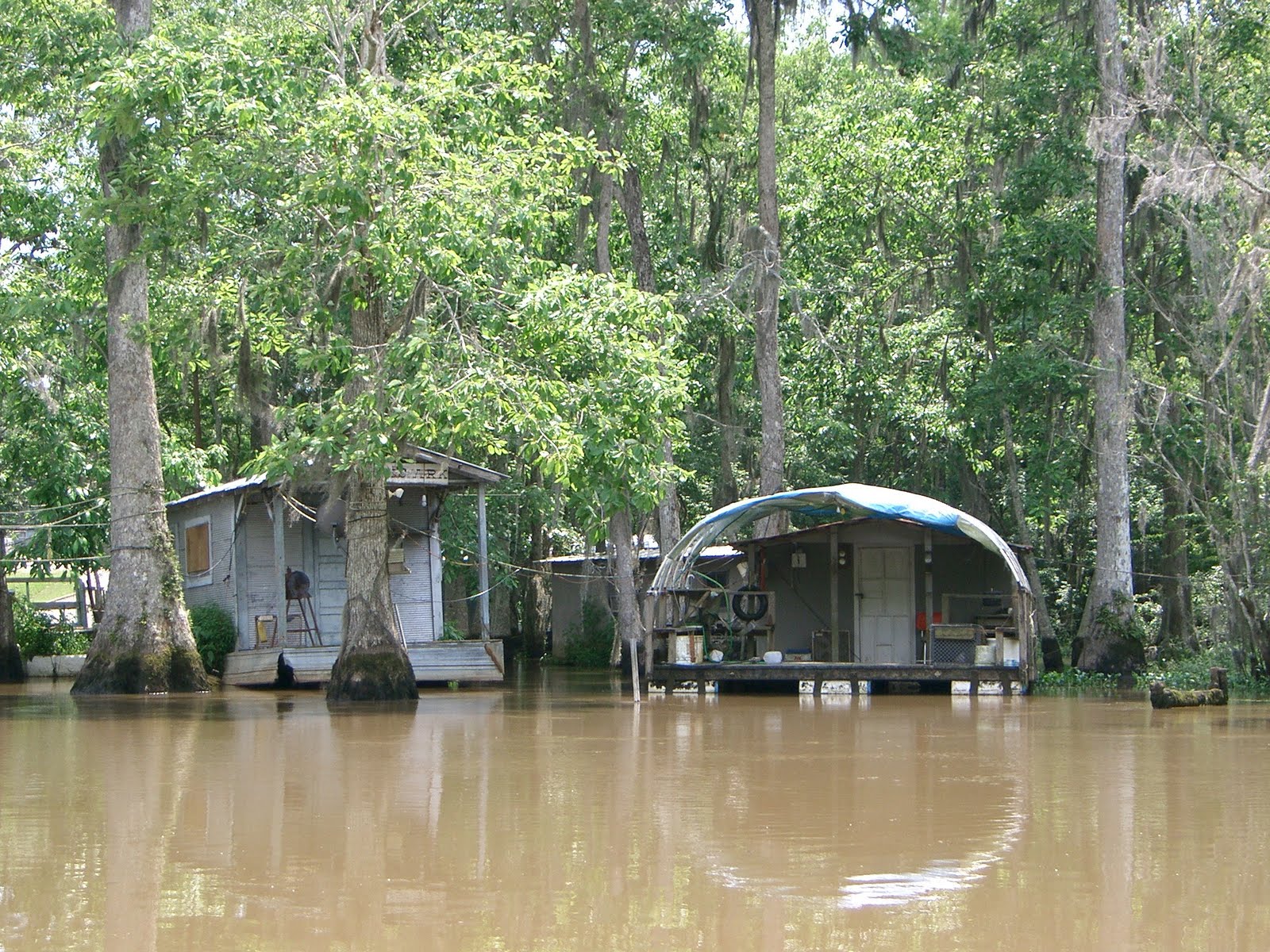 Don't Mess With My Mise